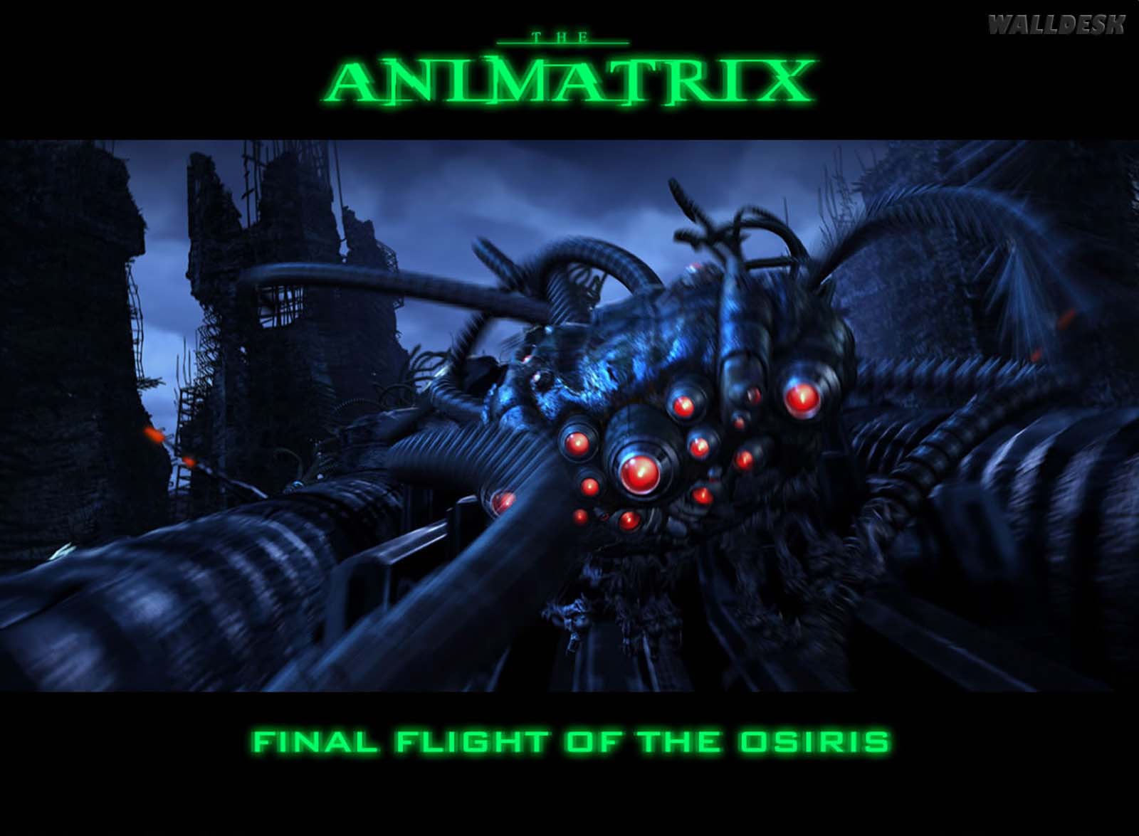 Curtas “Animatrix” - Rádio Oxigénio